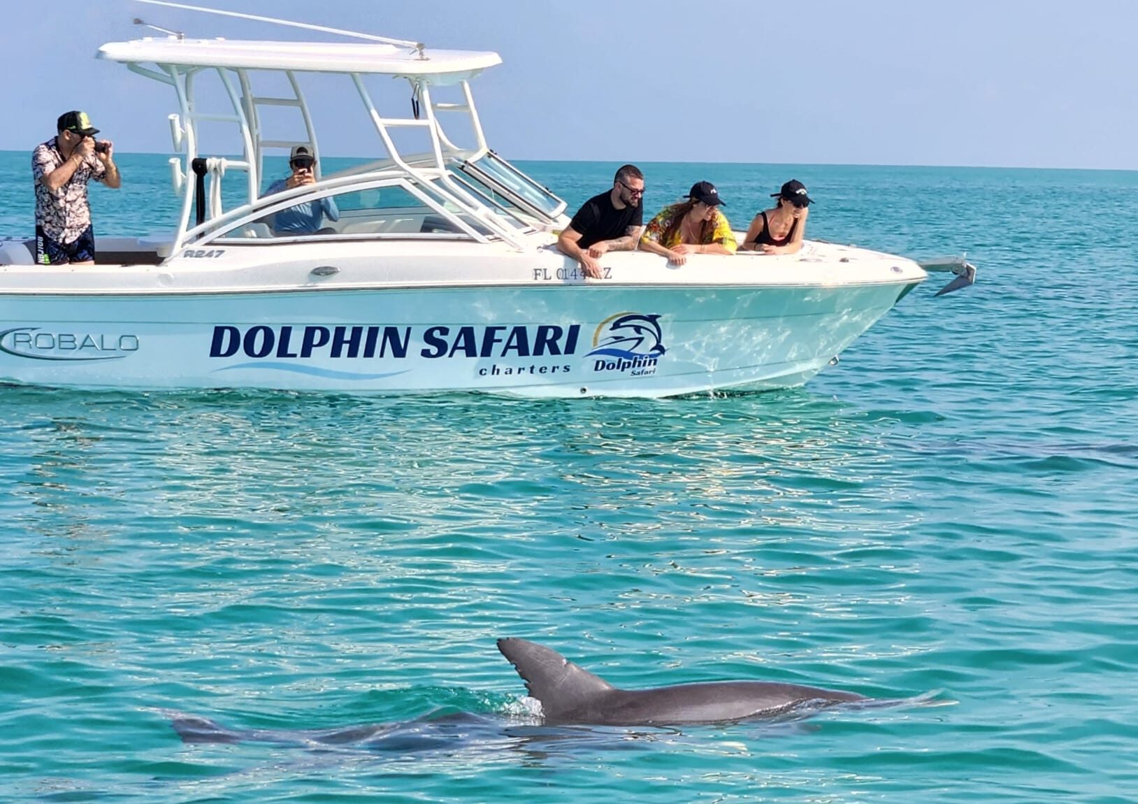 Key West Tours | Dolphin Watching, Snorkeling & Private Charters